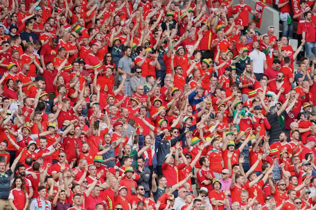 wal-goch - Literature Wales