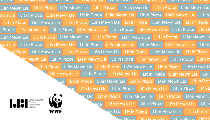 Llên mewn Lle | Lit in Place: Exploring the climate and nature ...