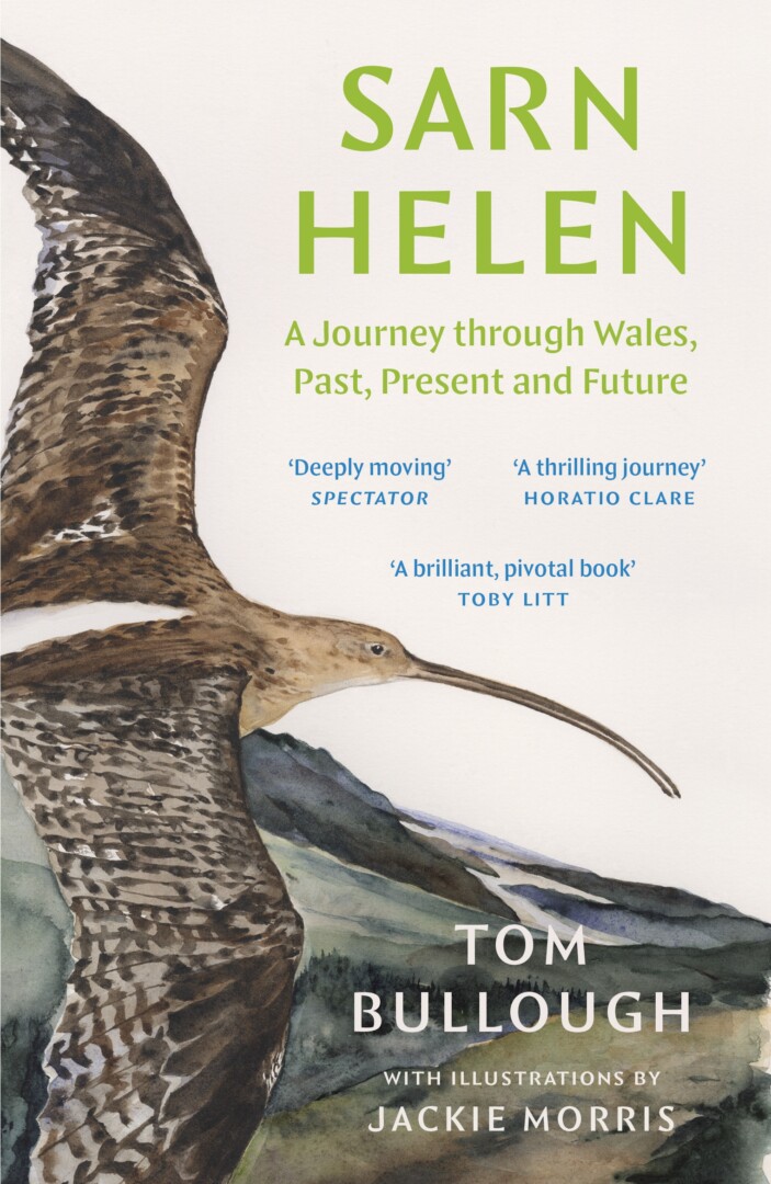 Wales Book of the Year Focus - Sarn Helen - Literature Wales